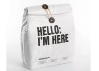 China Thickened Tyvek Insulated Lunch Bag for sale
