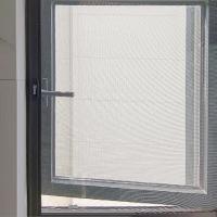 China Door Window Fly Bug Mosquito Mesh Roller Retractable Insect Screen for sale