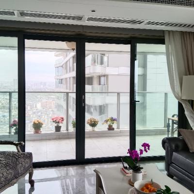 China H9 Aluminium Sliding Flyscreen Doors 240*350cm 480*350cm for sale
