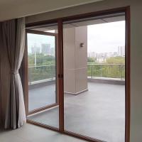 China Black Mothproof Aluminum Retractable Fly Screen Door Custom Size for sale