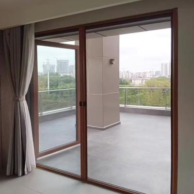 China Black Mothproof Aluminum Retractable Fly Screen Door Custom Size for sale