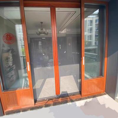 China Barrier Free Double Sliding Mosquito Net Door Support OEM ODM for sale