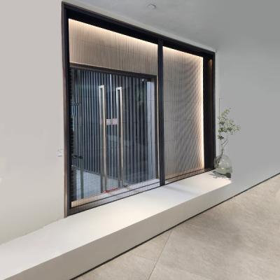 China Pleated Mesh Retractable Mosquito Sliding Screen Door H6 for sale