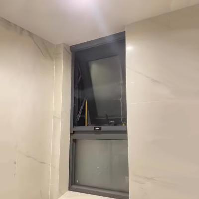 China Mosquito Proof Aluminum Casement Black Single Hung Window for sale