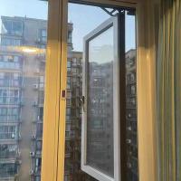 China Aluminum Alloy Frame Glass Aluminum Single Hung Windows Electrophoresis for sale