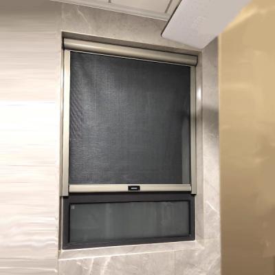 China Aluminum Alloy Fiberglass Retractable Screen Doors Anti Mosquito Window Screen for sale