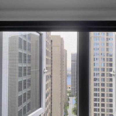 China Aluminum Alloy Fiberglass DIY Retractable Screen Window Door for sale