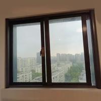 China Aluminum Alloy Profile Roll Up Insect Mosquito Screen OEM ODM for sale