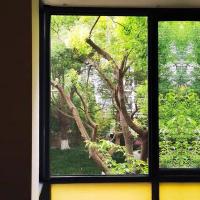 China Corrosion Resistance Anti Mosquito Roller Screen Window Black for sale