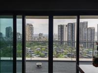 China Retractable Screen Door Trackless Fly Screen Insect Screen Window For Home Office for sale