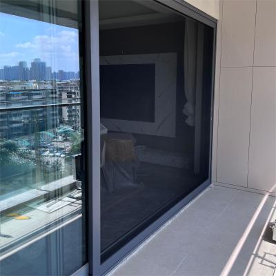 China Manufacturer Supply Aluminum Alloy Anti Mosquito And Insect Proof Sliding Fly Screen Door for sale