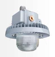 China 40-70W Explosion Proof Flood Light Fixtures For Oil And Gas Exploration for sale