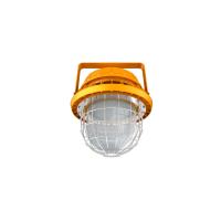 China 20-400W ATEX Explosion Proof LED High Impact Resistance Aluminum Housing Gas Station for sale