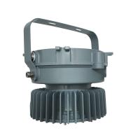 China IP66 Explosion Proof LED High Bay Lights 20-200W Chemical Industry Gas Station for sale