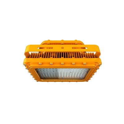 China Led Explosion Proof Industrial Light IP66 Waterproof Ik10 Aluminum Housing Stainless Steel Mounting Bracket D SERIES for sale