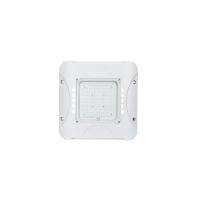 China 80W Explosion Proof LED Canopy Lighting IP66 Aluminum Housing for sale