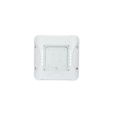 China 40w-150w Outdoor LED Canopy Light Gas Station IP66 for sale
