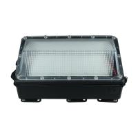 China 50W 80W 100 Watt LED Wall Pack Light 120W Garden High Brightness for sale