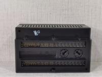 China IC200MDL650 GE Input Module  250mm Net Length for sale