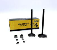 China BM150 High Performance Motorcycle Engine Valve Set for BAJAJ BM150 for sale