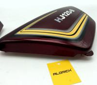 China HJ125-9 Motorcycle Side Cover - High-Impact ABS Plastic Body Fairing Left & Right Panel for sale