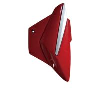 China BAJAJ BOXER PLATINA Motorcycle Side Cover – Premium ABS/Plastic Body Panels (Left & Right Fairing) for sale