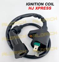 China 33410H17300H000 High Performance Motorcycle Ignition Coil Assy for Haojue Xpress 125 for sale