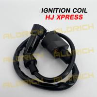China 33410H17300H000 High Performance Motorcycle Ignition Coil Assy for Haojue Xpress 125 for sale