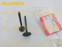 China HAOJUE XPRESS 125 Motorcycle Engine Parts Intake & Exhaust Valve Kit (OEM: 12911H16200H000 / 12912H16200H000) for sale