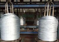 China Galvanized Steel Wire for sale