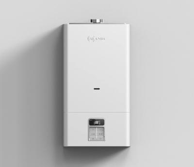 China Mini 2 Heat Exchangers Wall Mounted Gas Boiler COMBI 24KW for sale
