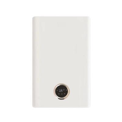 China Quiet Home Propane Wall Hung Gas Boiler 220V LPG Combi Boiler for sale