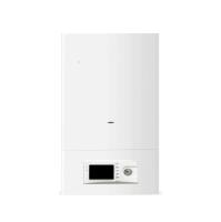 China Wall Mounted Storage Combi Gas Boiler For Heating Water Energy Saving for sale