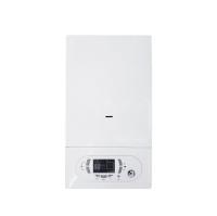 China 20KW Wall Hung Gas Boiler for sale