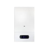 China 20L Combi Gas Boiler Wall Mounted 2 Heat Exchangers Energy Saving for sale