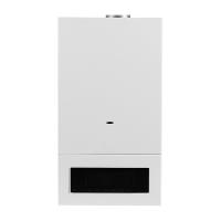 China 12L Energy Saving Gas Boiler In Bathroom 20KW Combi Type for sale