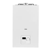 China Steel Housing Wall Hung Gas Boiler 24KW Wall Mounted for sale