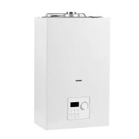 China Steel Housing Wall Hung Gas Boiler 24KW Wall Mounted for sale