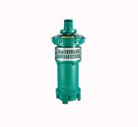 China 15m3/H Carbon Steel SUS304 Submersible Wastewater Pump 380V 50Hz for Water Treatment for sale