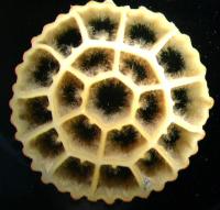 China MBBR Bio Filter Media for Sewage Treatment Water Plant Accessories 10-20 g/m2 Biomass for sale
