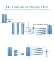 China 0.3m3/H EDI Ultrapure Water Treatment System Reverse Osmosis for Oral Cleaning for sale