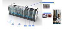 China MBR Sewage Treatment Plant 250L to 10000L AO+MBR Pure Water Process Wastewater System for sale