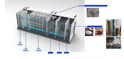 China MBR Sewage Treatment Plant 250L to 10000L AO+MBR Pure Water Process Wastewater System for sale