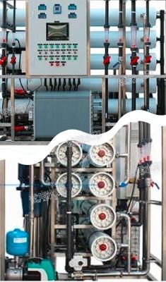 China 1.0m3/h RO EDI Softened Water Plant for Deionized Water 220V 50Hz for sale
