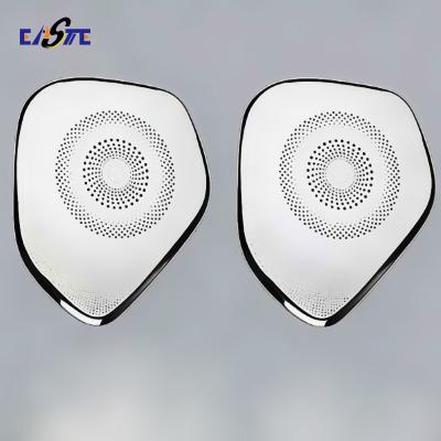 China Etching Precision Speaker Grille Cover with Micro Holes Perforated Metal Sheet for sale