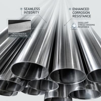 China ASTM A312 TP316L Molybdenum Alloy Stainless Steel Seamless Pipe Annealed & Pickled for Superior Corrosion Resistance for sale