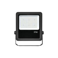 China Aluminum Die-Casting 100W Led Flood Lights Indoor Garden Floodlight For Theme Park for sale