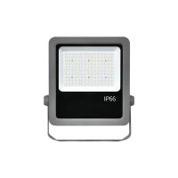 China Aluminum Die-Casting 100W Led Flood Lights Indoor Garden Floodlight For Theme Park for sale