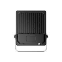 China High Efficiency 150W Flood Light 50 Watt Flood Light Fixtures  For Garden Lighting Landscaping for sale