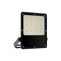 China High Efficiency 150W Flood Light 50 Watt Flood Light Fixtures  For Garden Lighting Landscaping for sale
